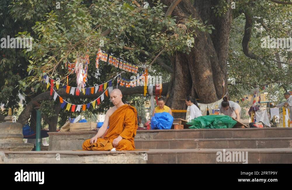 Monk meditating under tree,BodhGaya,Mahabodhi Temple Complex,India ...