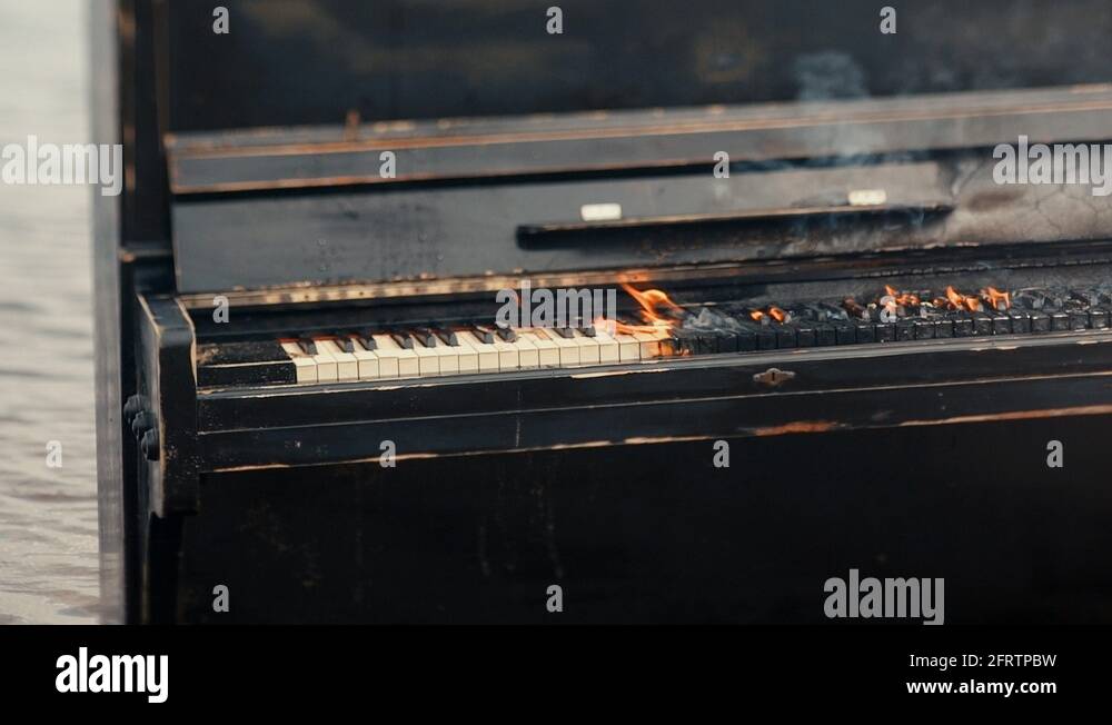 Muse instrument Stock Videos & Footage - HD and 4K Video Clips - Alamy