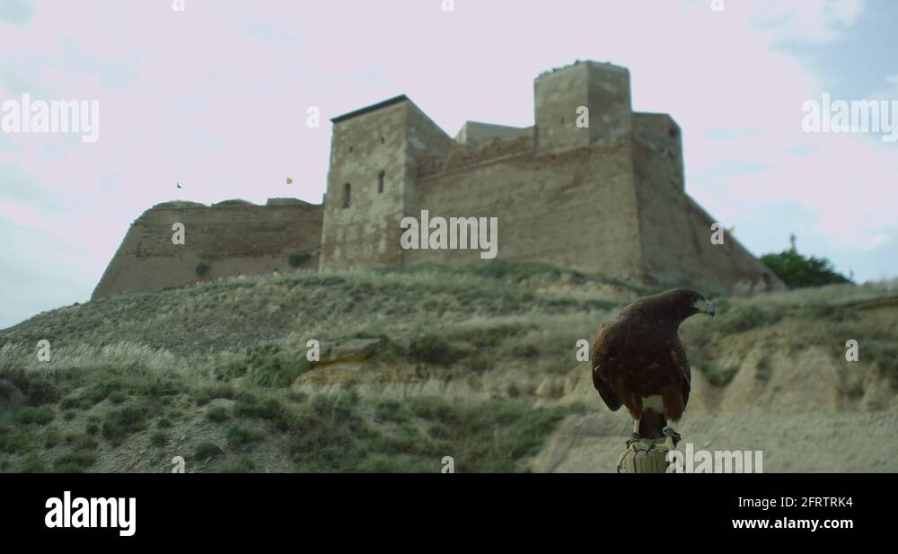Eagle castle Stock Videos & Footage - HD and 4K Video Clips - Alamy