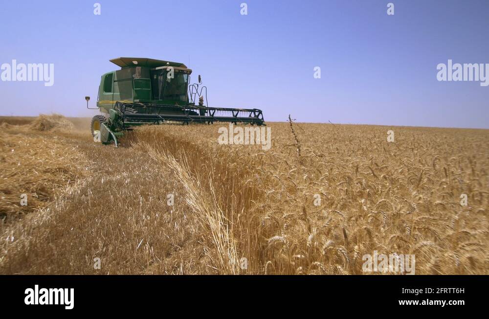 Harvesting harvester Stock Videos & Footage - HD and 4K Video Clips - Alamy
