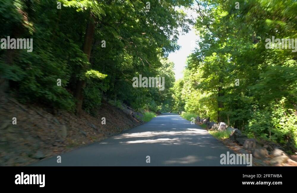Henry park Stock Videos & Footage - HD and 4K Video Clips - Alamy