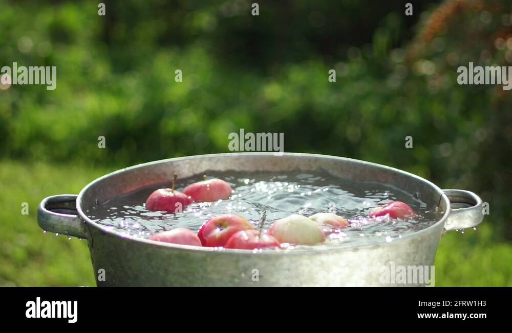 Throwing plant on water Stock Videos & Footage - HD and 4K Video Clips ...