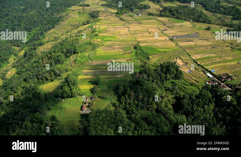 Southeast asia farming Stock Videos & Footage - HD and 4K Video Clips ...
