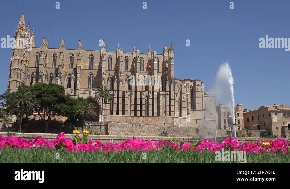Palma city landmark Stock Videos & Footage - HD and 4K Video Clips - Alamy