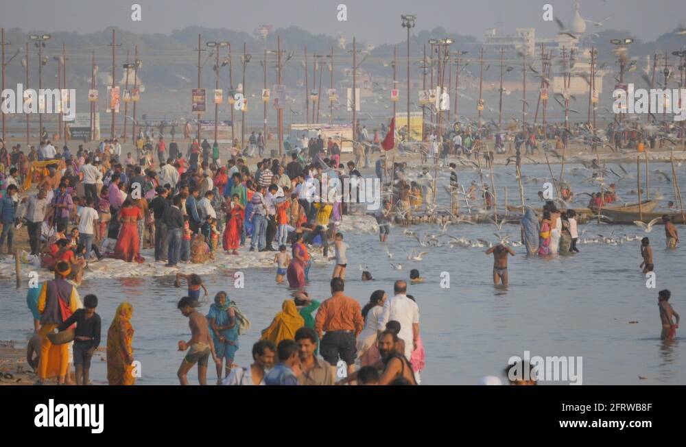 Pilgrims bathing in holy river with birds at Sangam,Allahabad,Kumbh ...