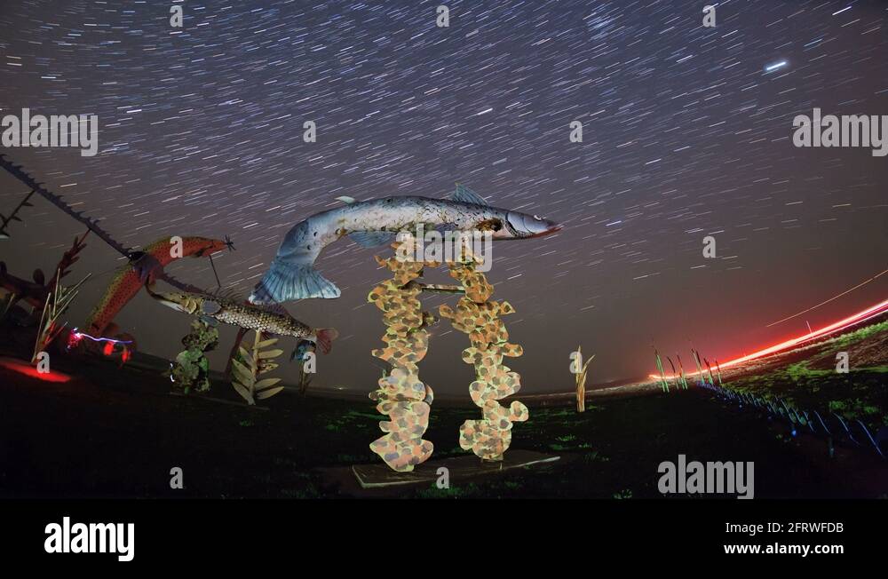 Fish artwork Stock Videos & Footage - HD and 4K Video Clips - Alamy