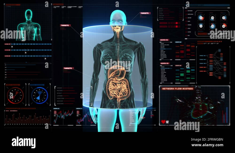 Female body organs Stock Videos & Footage - HD and 4K Video Clips - Alamy