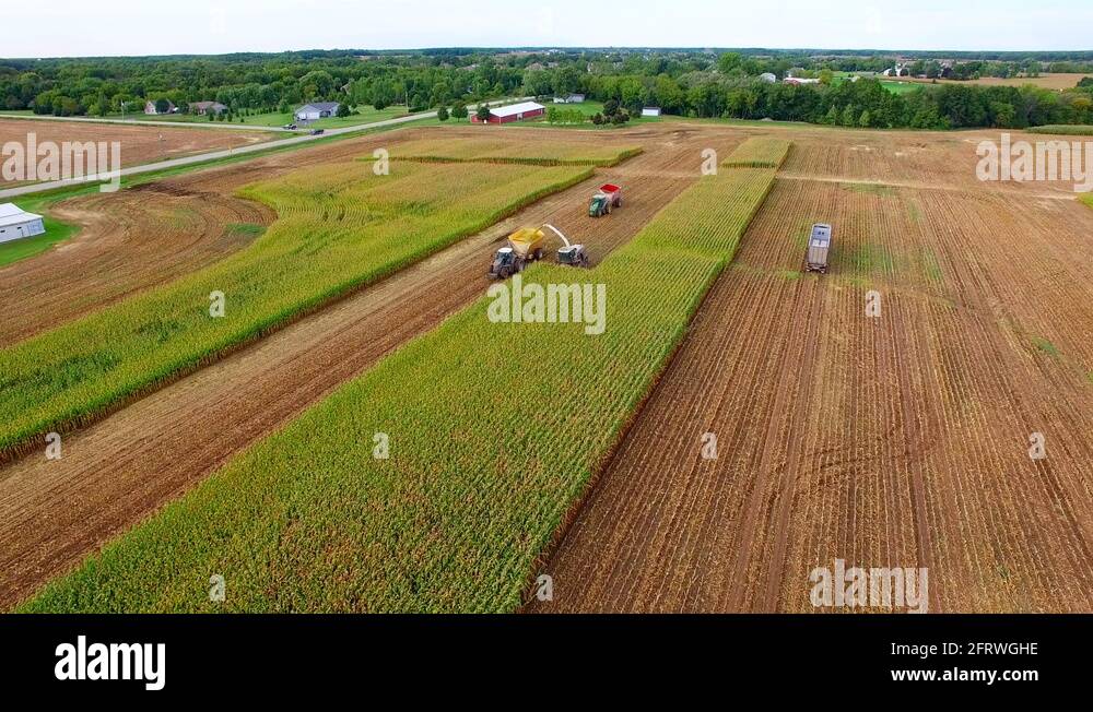 Midwest corn Stock Videos & Footage - HD and 4K Video Clips - Alamy