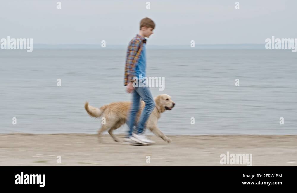 Teenage boy walking dog Stock Videos & Footage - HD and 4K Video Clips ...
