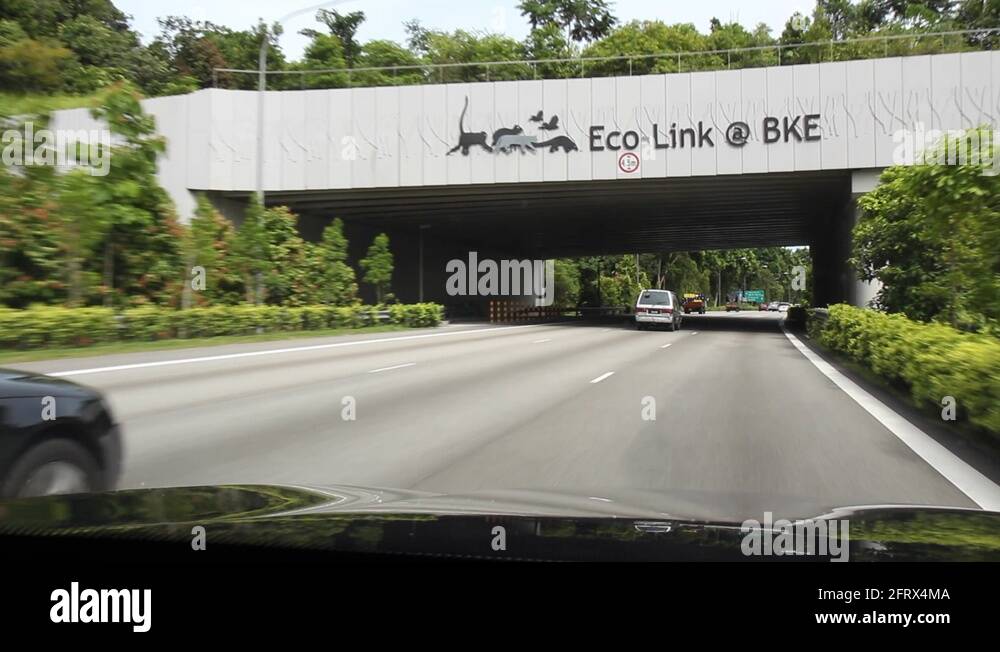 Eco bridge Stock Videos & Footage - HD and 4K Video Clips - Alamy