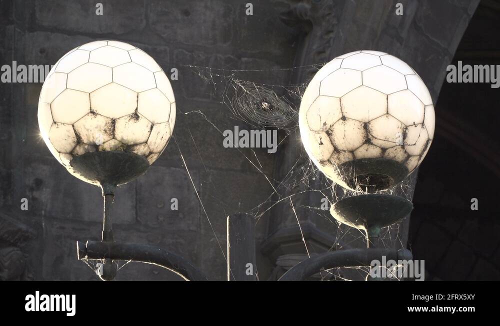 Spider web arch Stock Videos & Footage - HD and 4K Video Clips - Alamy