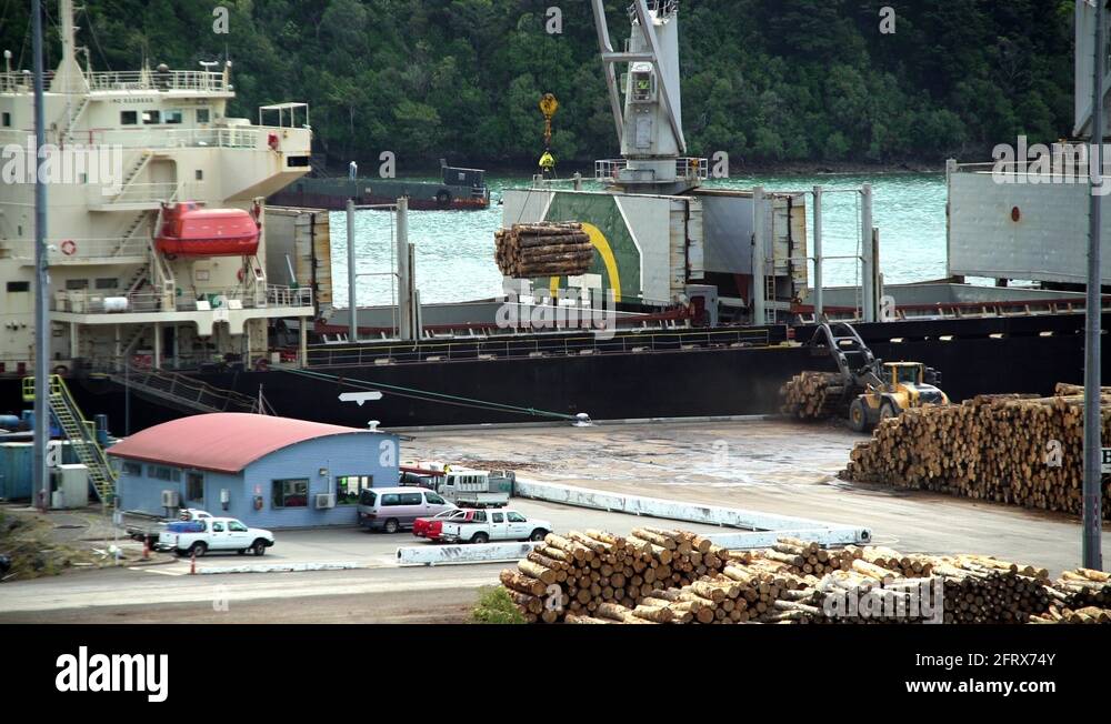 Cargo vessel loading timber Stock Videos & Footage - HD and 4K Video ...