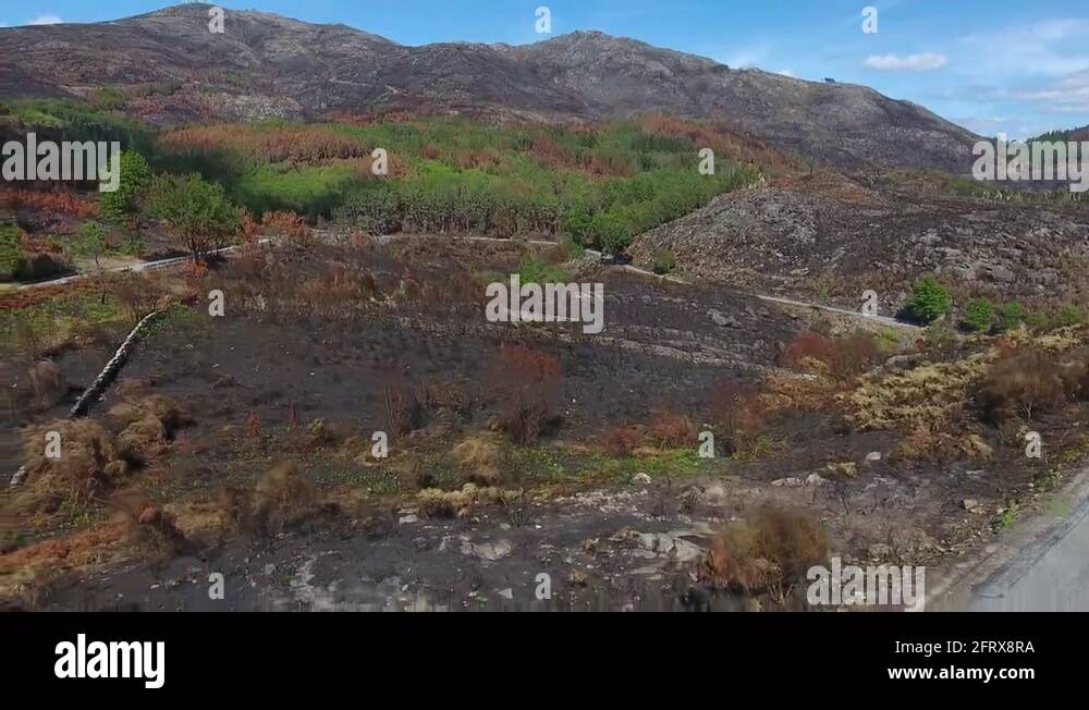 Disast Stock Videos & Footage - HD and 4K Video Clips - Alamy