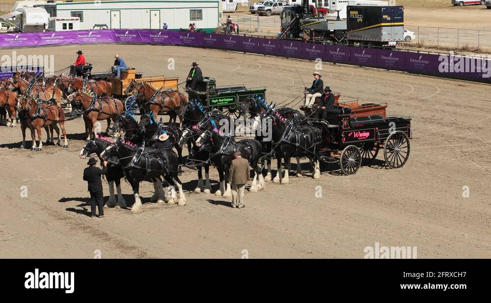 Team wagon Stock Videos & Footage - HD and 4K Video Clips - Alamy
