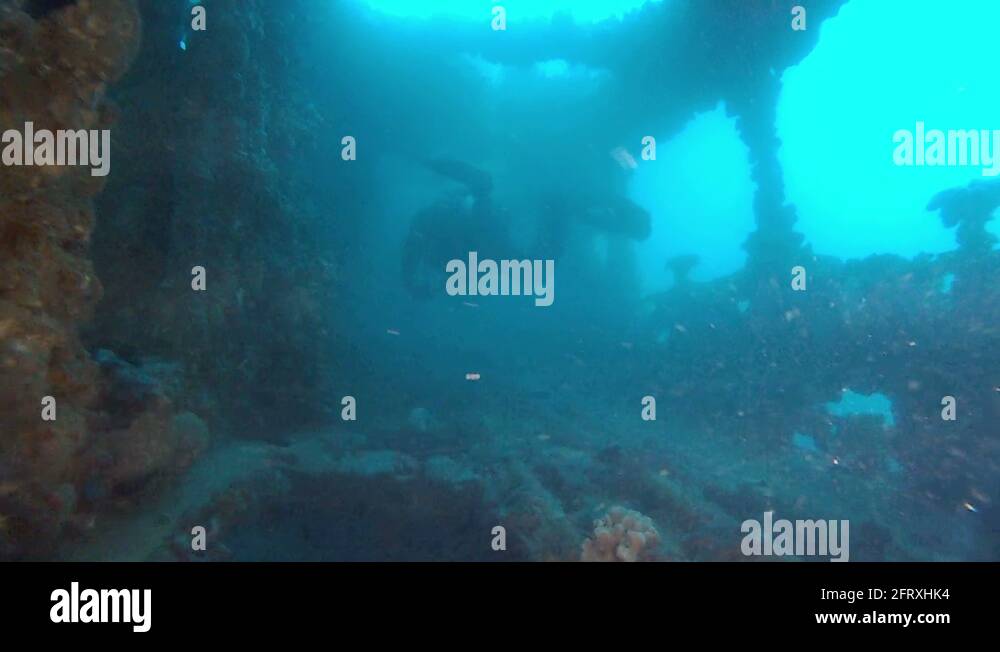 Scuba Diving Inside a Shipwreck Stock Video Footage - Alamy