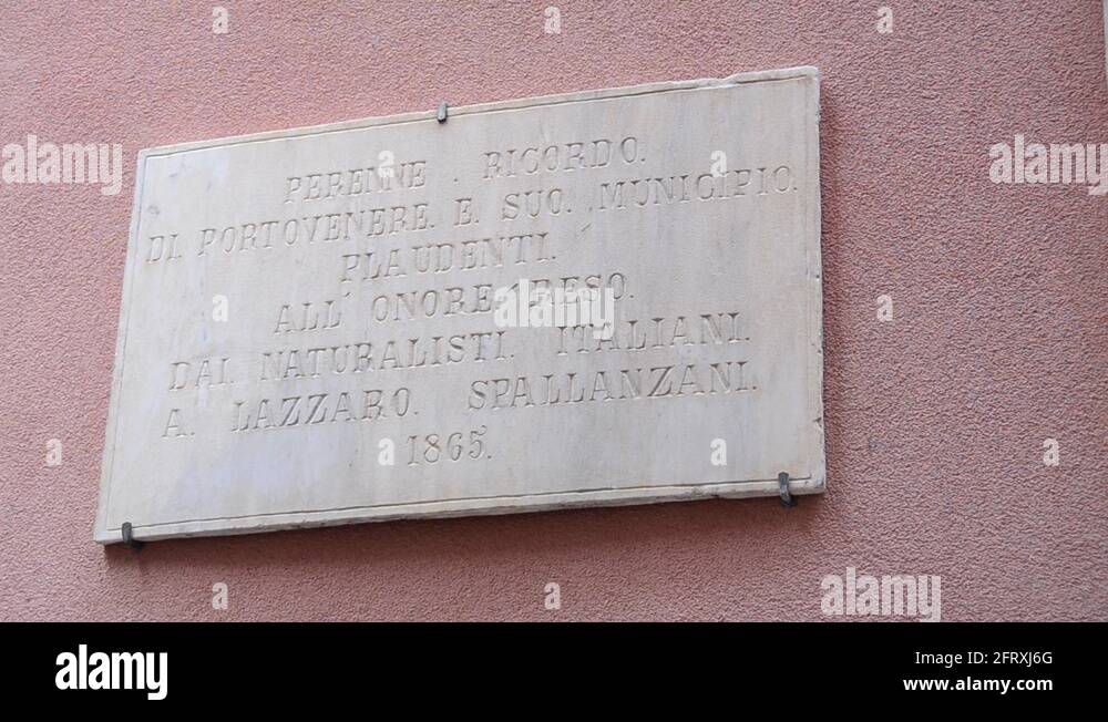 Porto steps Stock Videos & Footage - HD and 4K Video Clips - Alamy