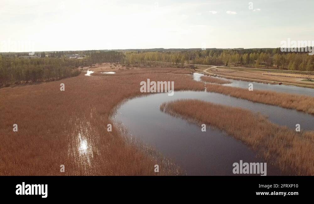 Bed reed bed Stock Videos & Footage - HD and 4K Video Clips - Alamy