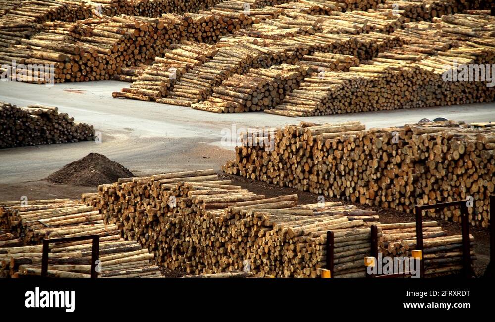 Loading timber on dock Stock Videos & Footage - HD and 4K Video Clips ...