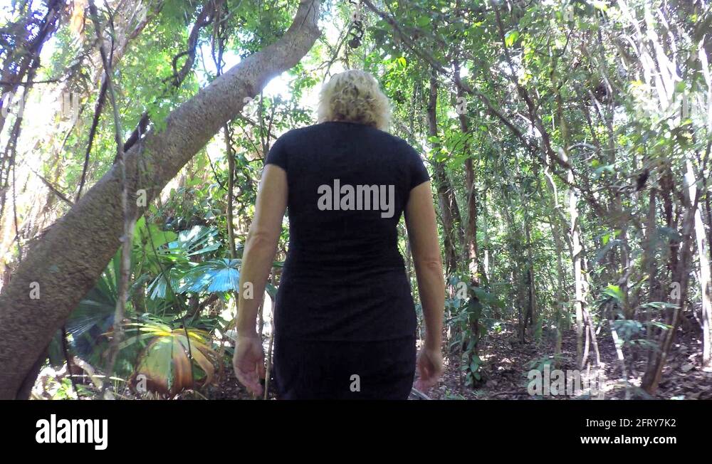 Daintree Rainforest in Queensland Australia with woman walking along ...