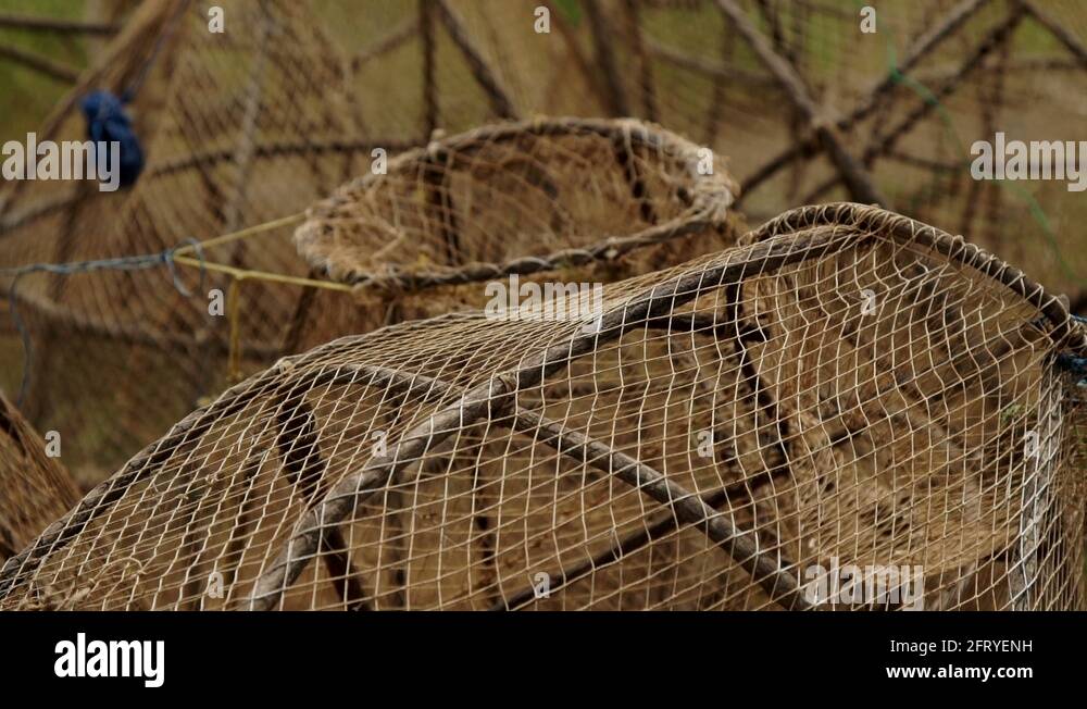Fish trap net Stock Videos & Footage - HD and 4K Video Clips - Alamy