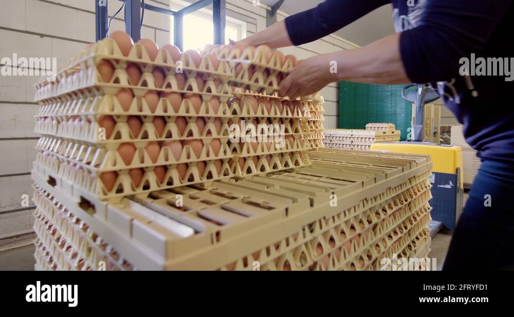 Egg pallet Stock Videos & Footage - HD and 4K Video Clips - Alamy
