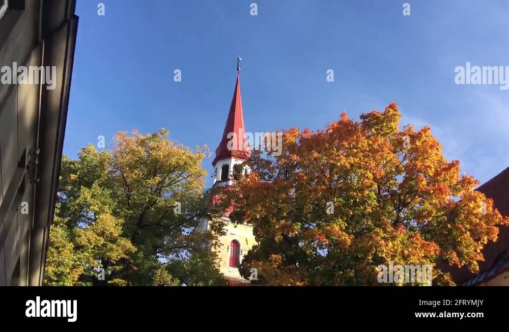 St elizabeths Stock Videos & Footage - HD and 4K Video Clips - Alamy