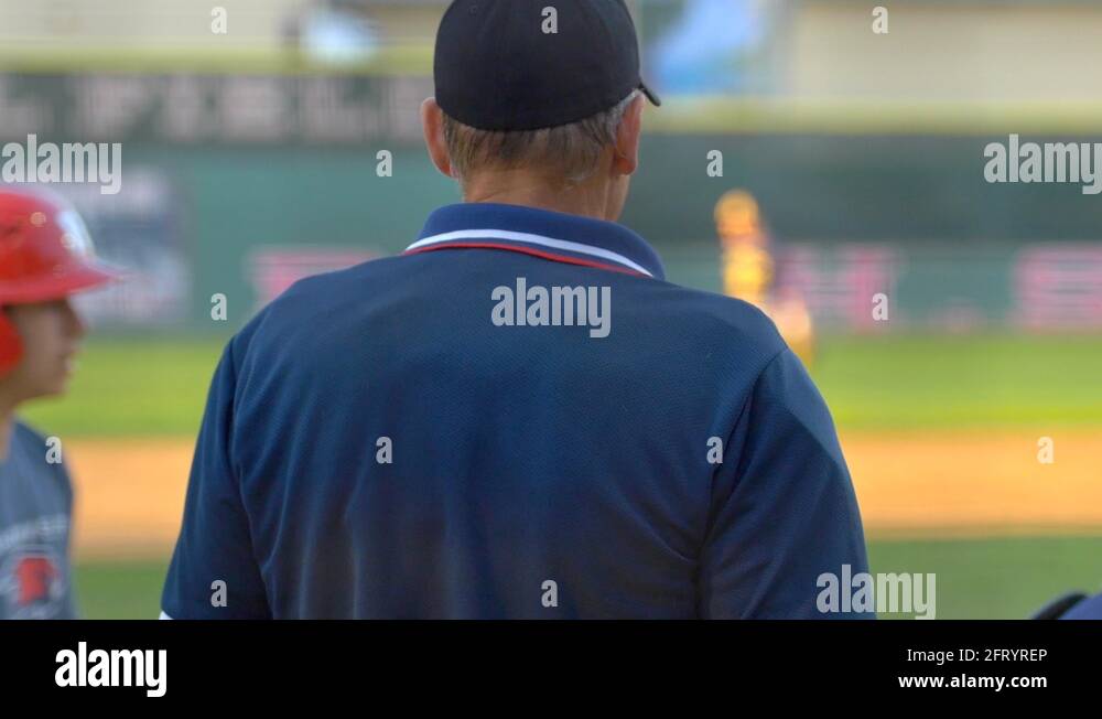 Official balls Stock Videos & Footage - HD and 4K Video Clips - Alamy