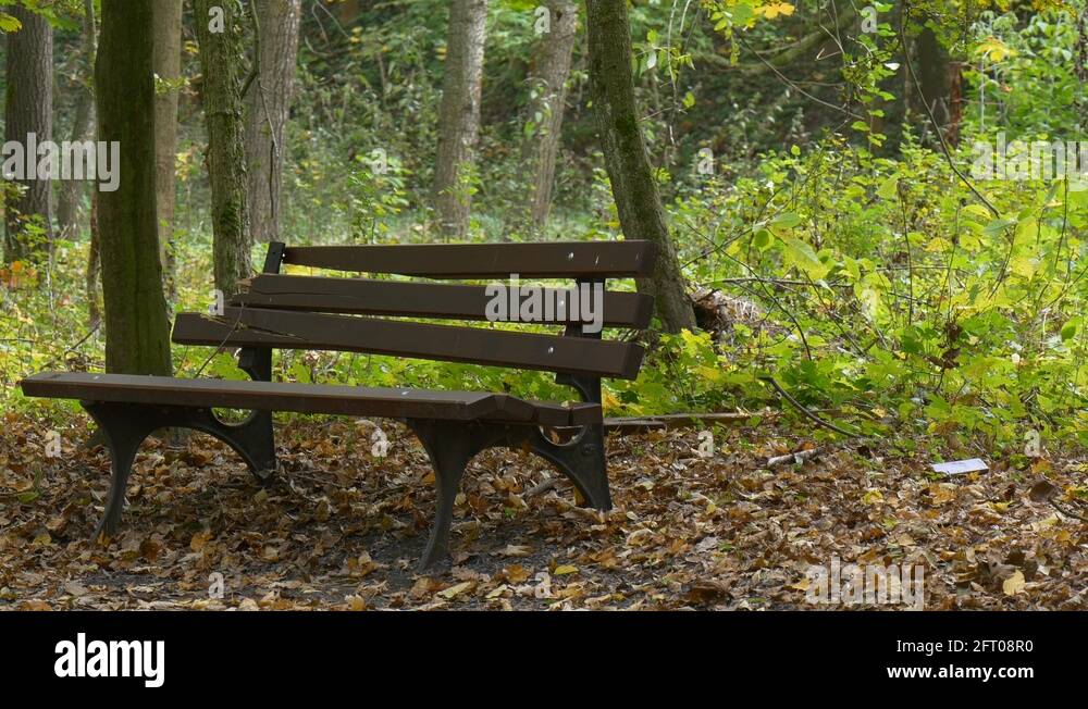 Broken park bench Stock Videos & Footage - HD and 4K Video Clips - Alamy