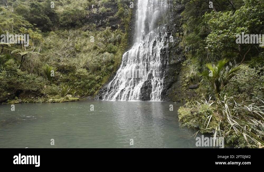 Auckland waterfalls Stock Videos & Footage - HD and 4K Video Clips - Alamy