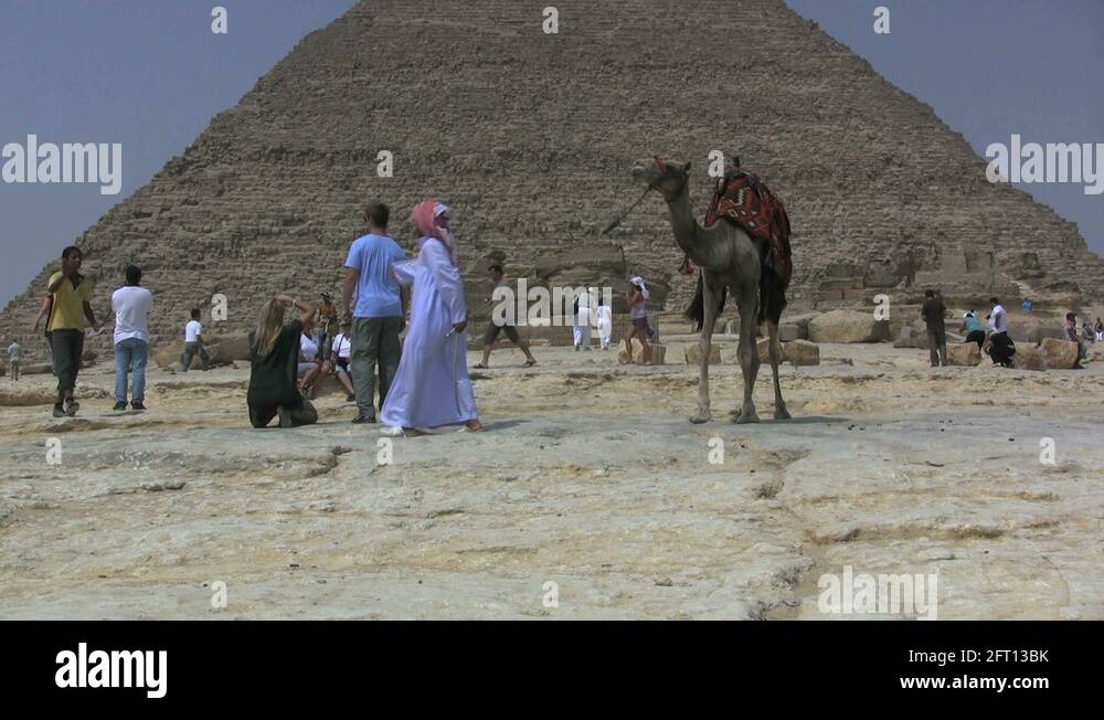 Egypt pyramid camel Stock Videos & Footage - HD and 4K Video Clips - Alamy