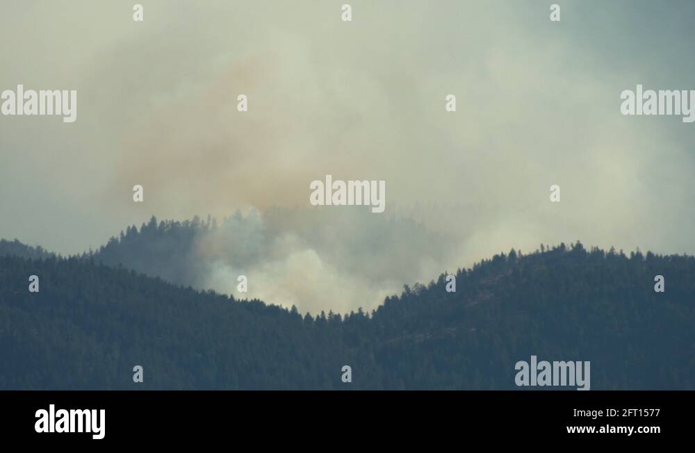 188 wing Stock Videos & Footage - HD and 4K Video Clips - Alamy