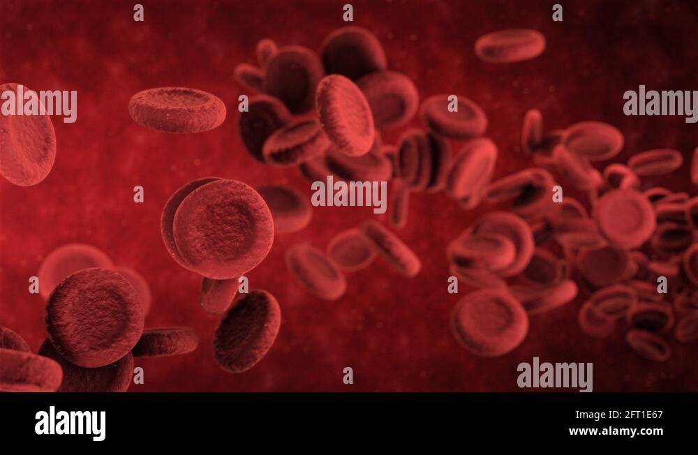 Animated Blood Cells Stock Video Footage - Alamy