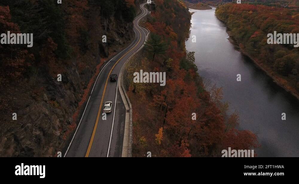 Sparrow hawks Stock Videos & Footage - HD and 4K Video Clips - Alamy