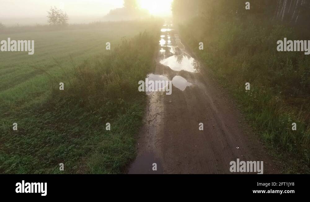 Wet hay field Stock Videos & Footage - HD and 4K Video Clips - Alamy