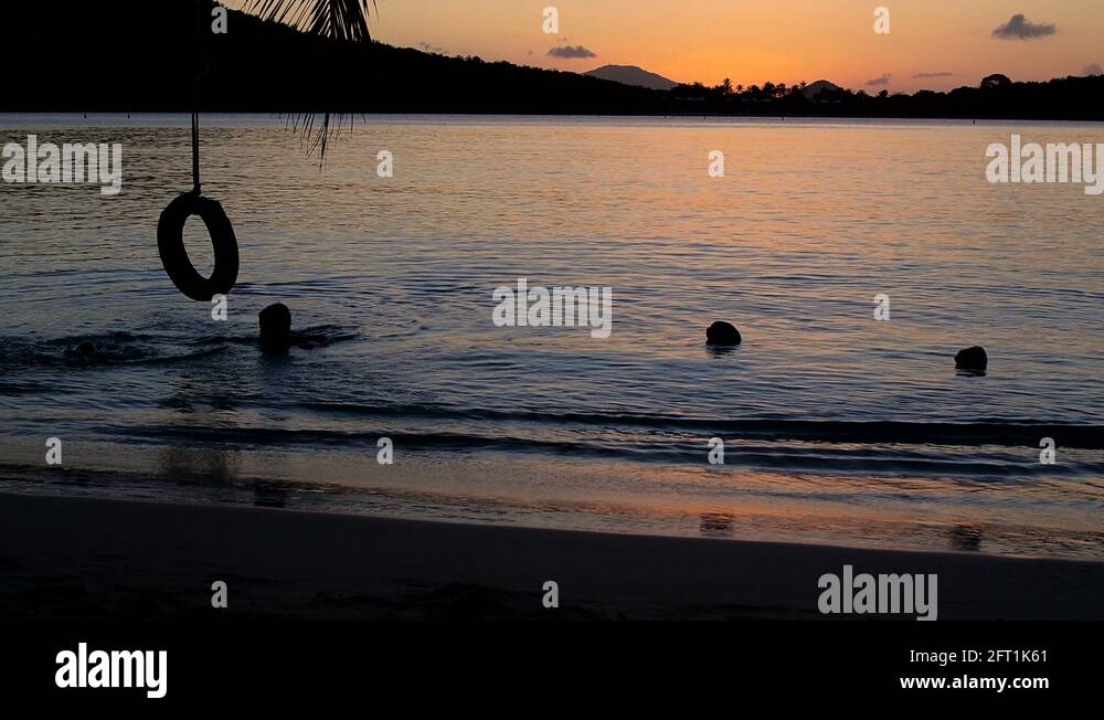 Throwing coconuts Stock Videos & Footage - HD and 4K Video Clips - Alamy