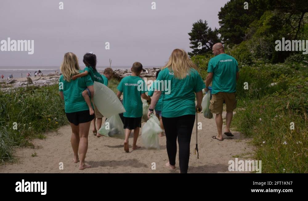 Cleaning up beach Stock Videos & Footage - HD and 4K Video Clips - Alamy