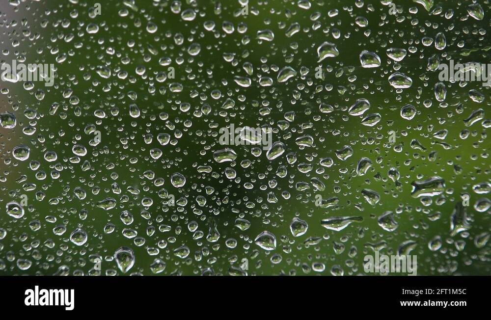 Close up image of rain drops falling on a window , ULTRAHD 4k, real ...