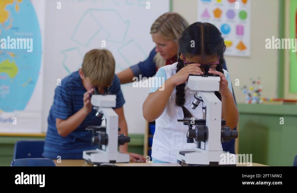 Science class microscope Stock Videos & Footage - HD and 4K Video Clips ...