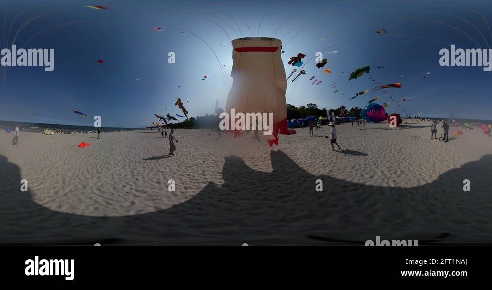 Bear shapes Stock Videos & Footage - HD and 4K Video Clips - Alamy