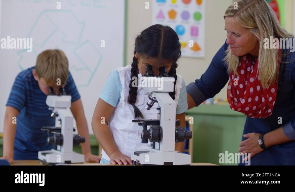 School microscope classroom Stock Videos & Footage - HD and 4K Video ...