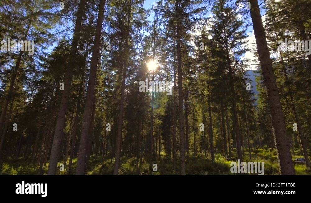 Long rays Stock Videos & Footage - HD and 4K Video Clips - Alamy