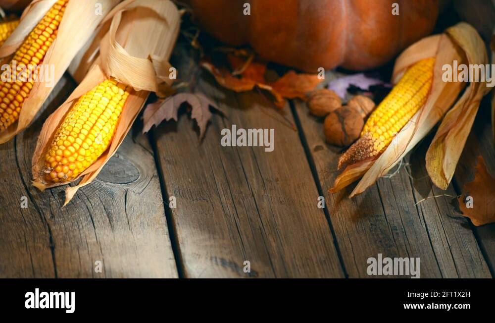 Thanksgiving corn on the cob Stock Videos & Footage - HD and 4K Video ...