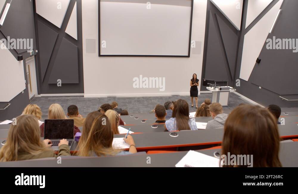 Back view university lecture Stock Videos & Footage - HD and 4K Video ...