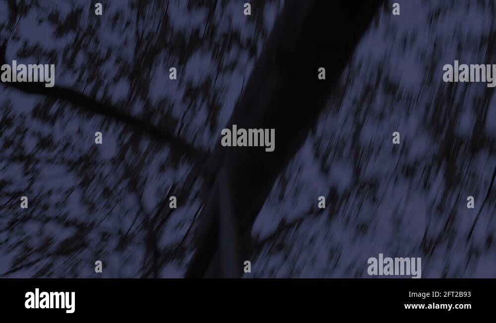 Dizziness symbol Stock Videos & Footage - HD and 4K Video Clips - Alamy