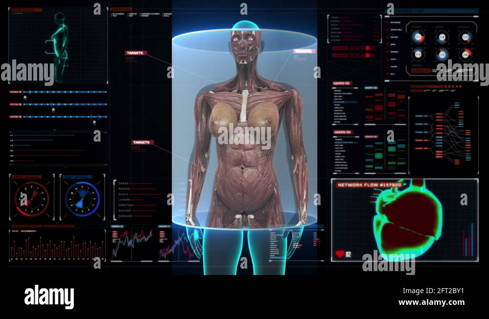 Female body scanning muscle structure in digital display dashboard. X ...