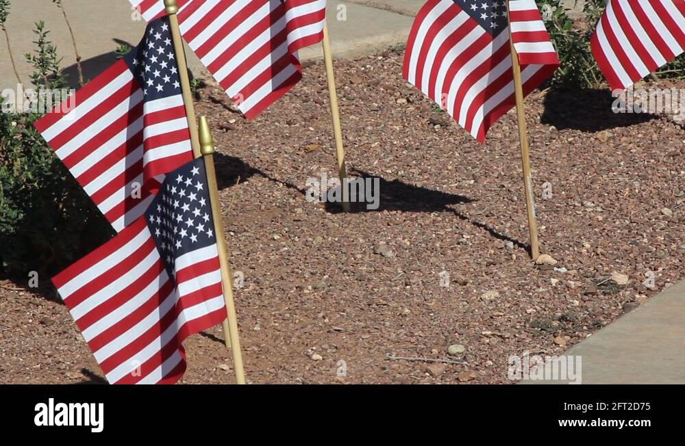 Ground founding Stock Videos & Footage - HD and 4K Video Clips - Alamy