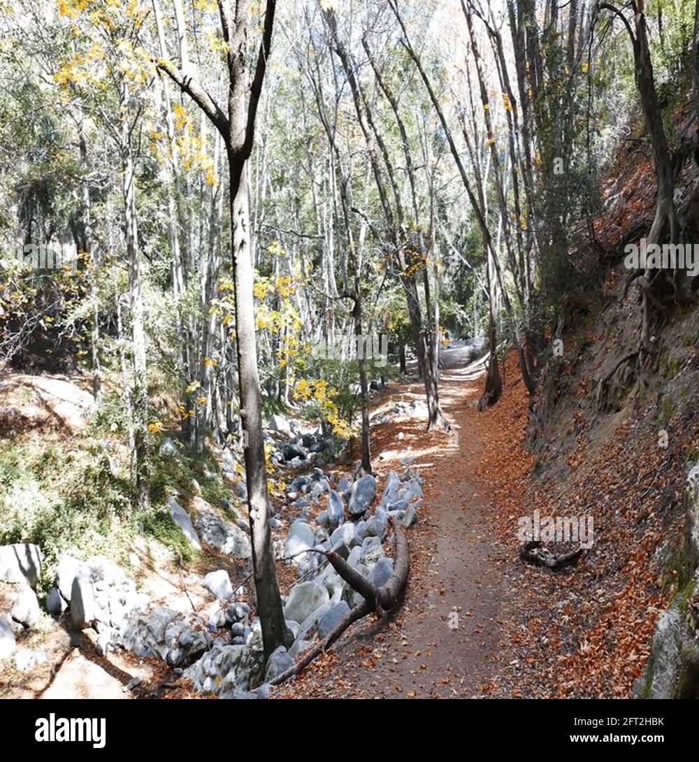 Beautiful fall color switzer Stock Videos & Footage - HD and 4K Video ...