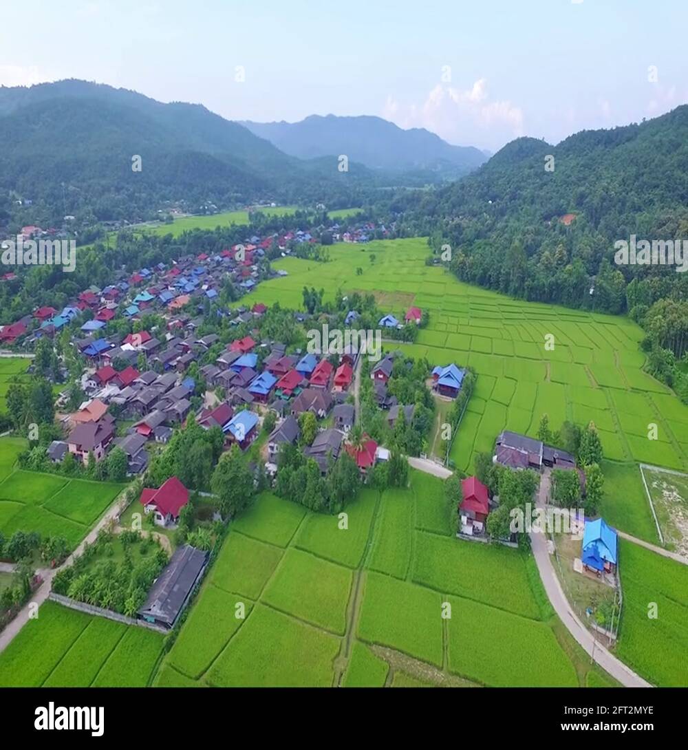 Thai house rice field Stock Videos & Footage - HD and 4K Video Clips ...