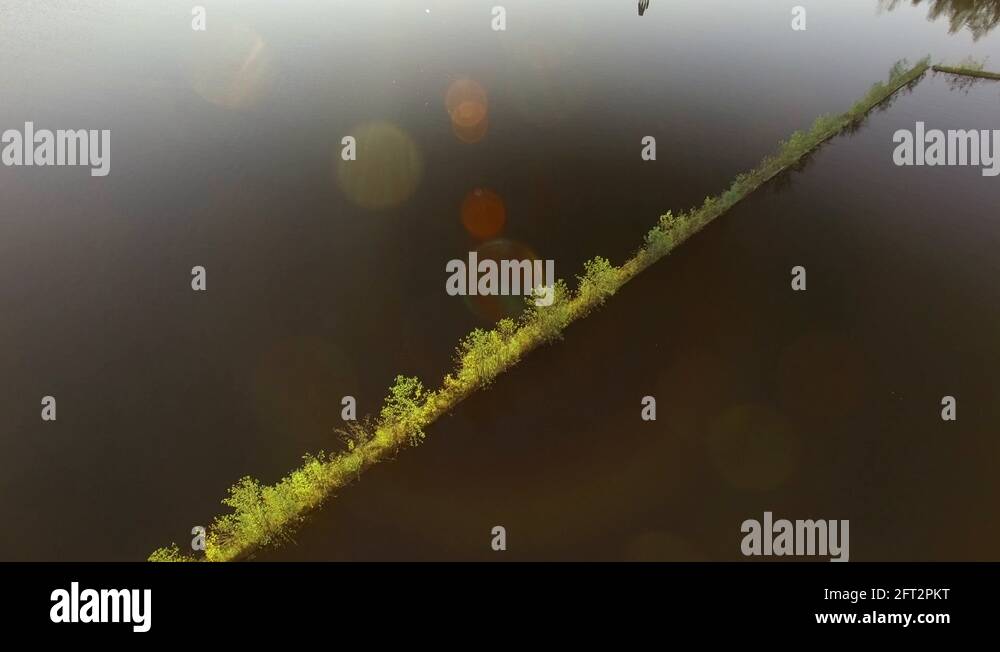 Log barrier Stock Videos & Footage - HD and 4K Video Clips - Alamy