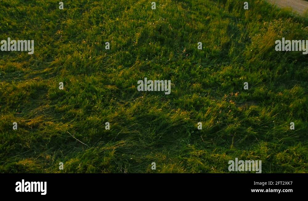 Running model Stock Videos & Footage - HD and 4K Video Clips - Alamy